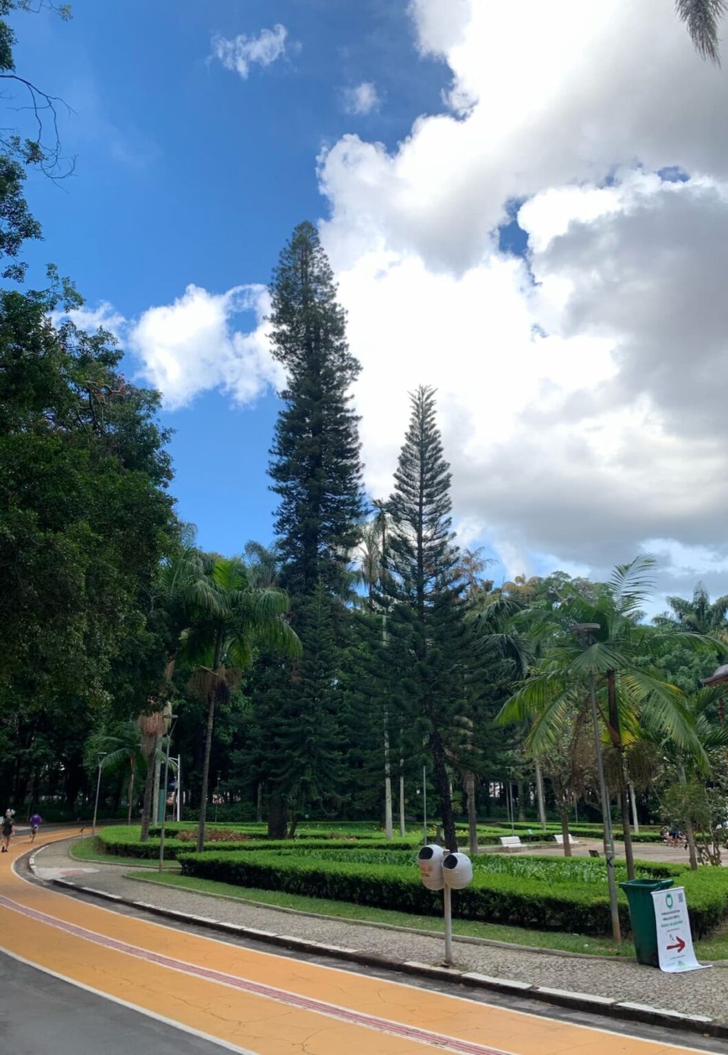 Parque Municipal de Belo Horizonte: Um refúgio natural no coração da cidade